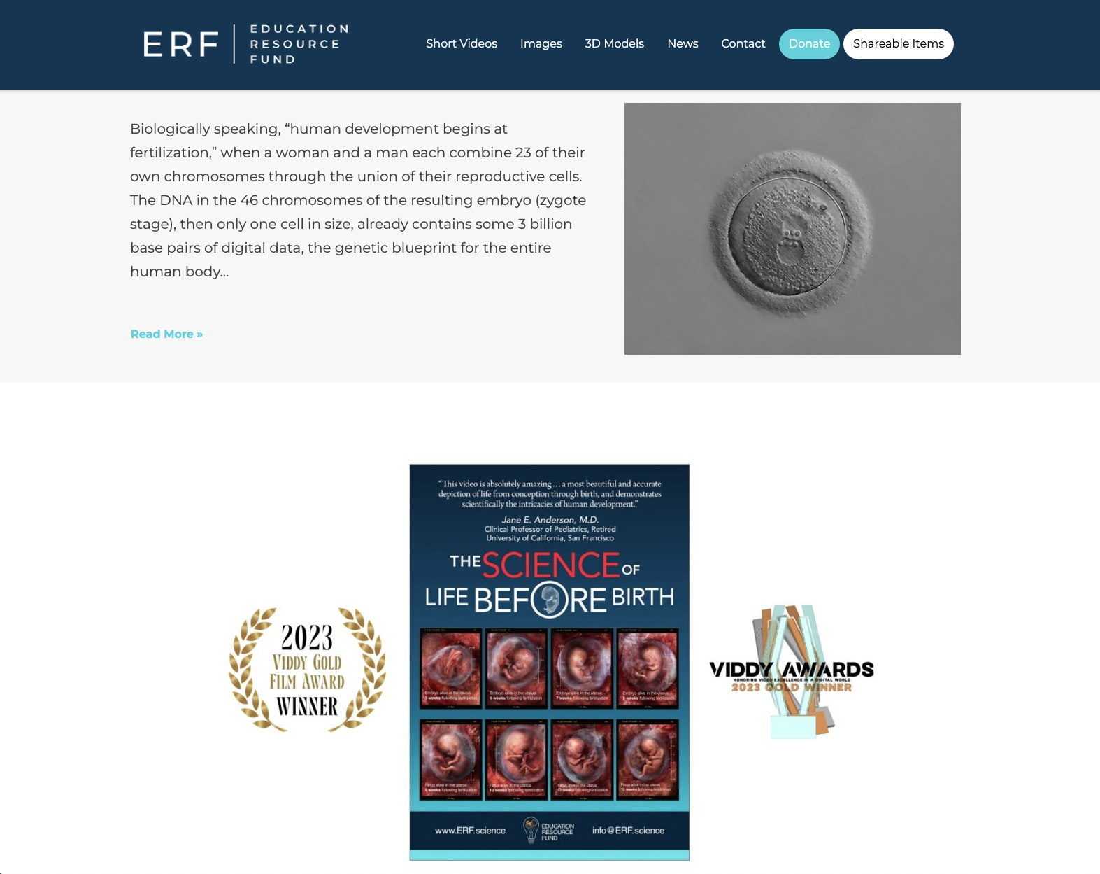 Education Resource Fund - The Creative Excellence Awards